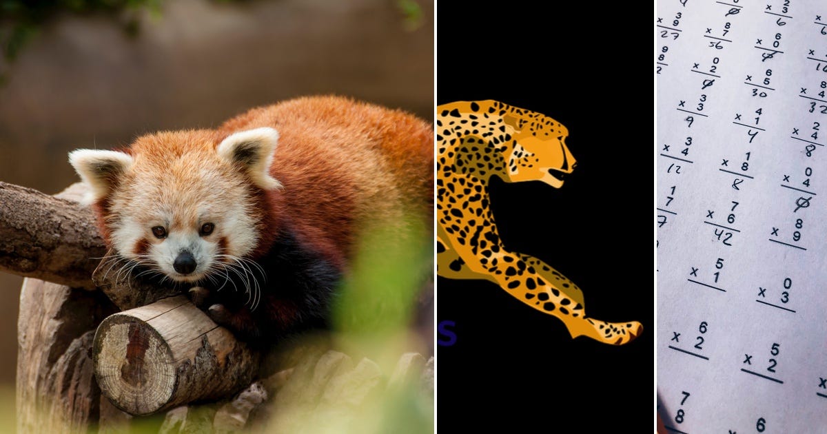 List: Data Engineering | Curated by Ido | Medium