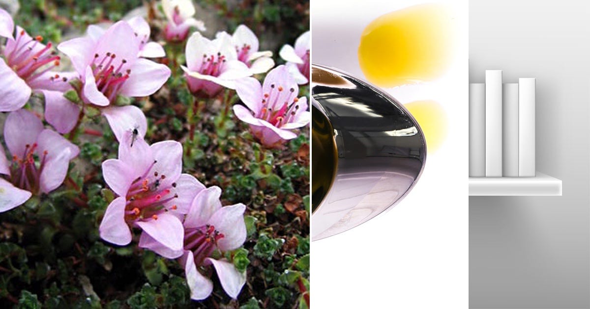 List: Book Summary | Curated by Sapien | Medium