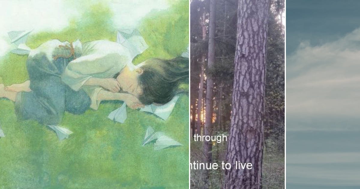 List: ; | Curated by kc | Medium