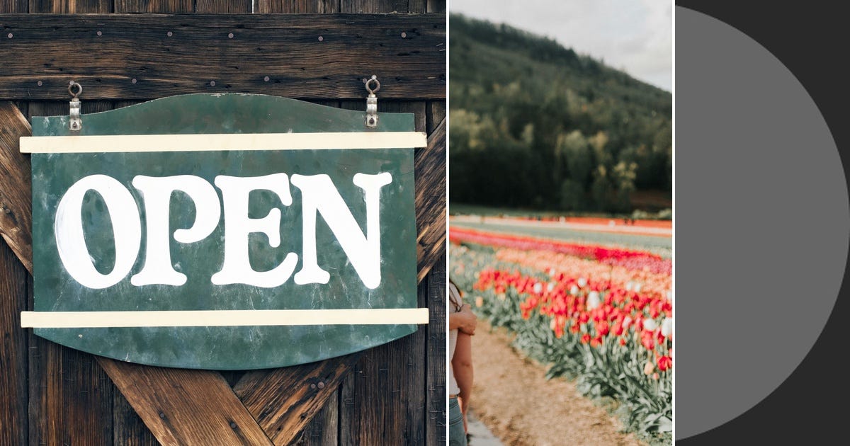 List: Agata Szymula | Curated by Mrtongd | Medium