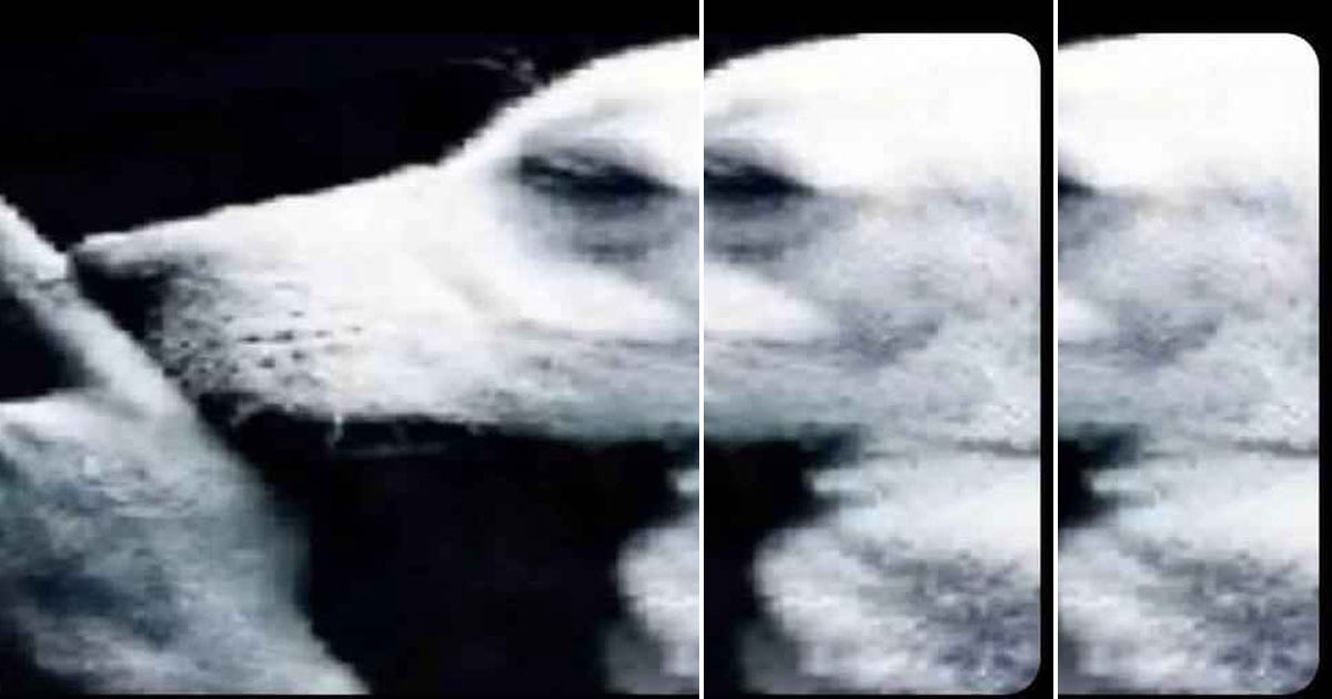 List: pico CTF Series | Curated by 00 00 00 00 | Medium