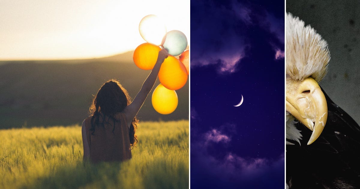 List: Beautiful Poetry— | Curated by Confidence💜 | Medium