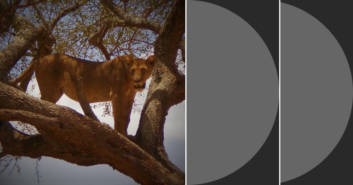 List: Ecosystems - Biology | Curated by Devin Calloway | Medium
