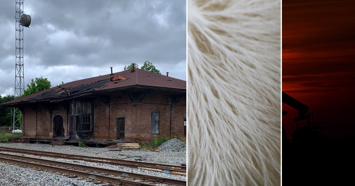 List: Climate | Curated by Suzanne Sutherland | Medium