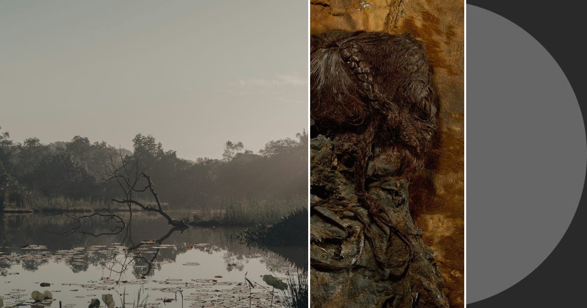 List: The Bog People of Denmark Anthology | Curated by The Obsolete ...