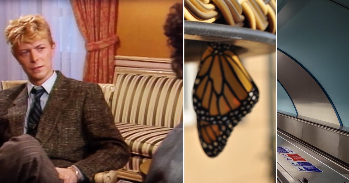 List: Creativity and Mindset | Curated by Dan Brown | Medium