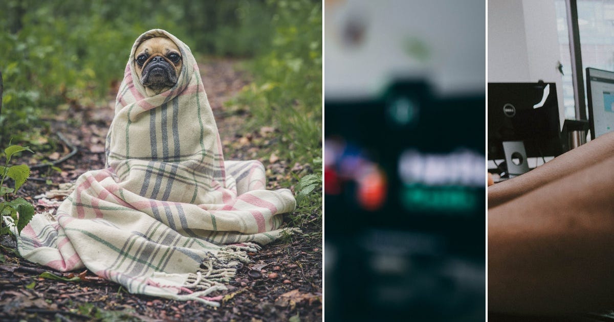 List: Github | Curated by scott c. - technologist | Medium