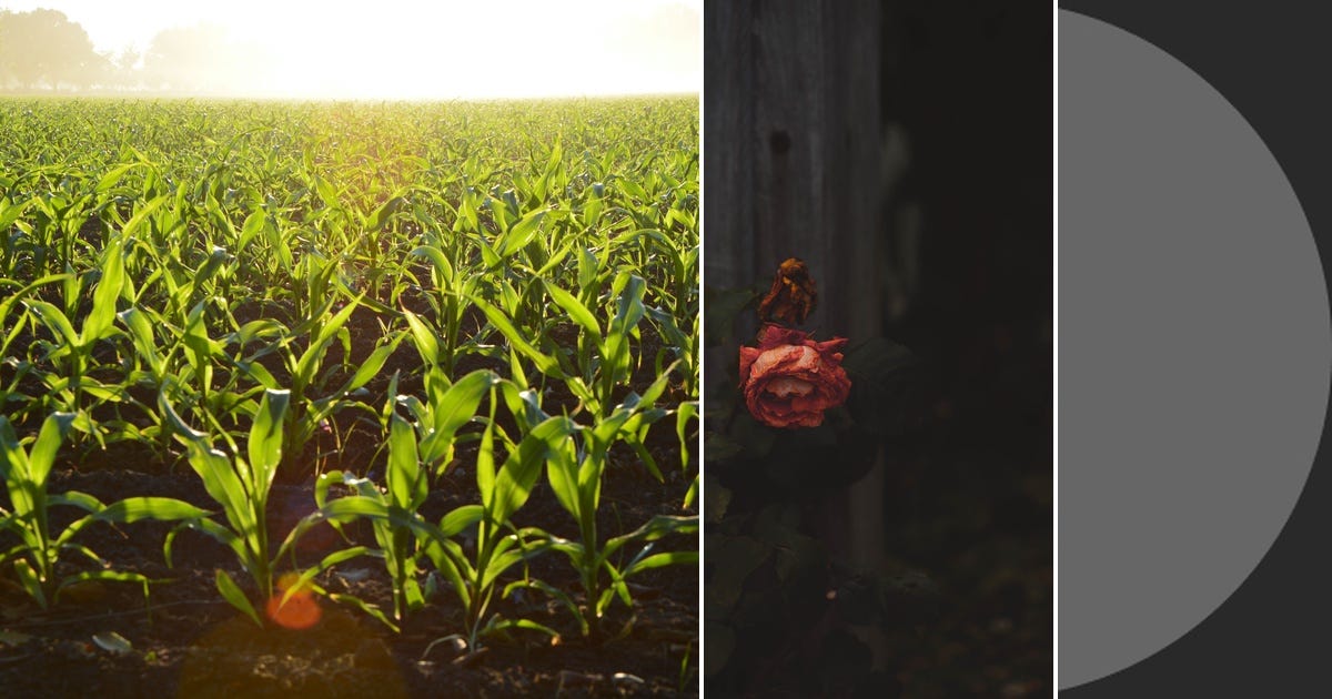 List: My Fiction | Curated by Kevin Baugh | Medium