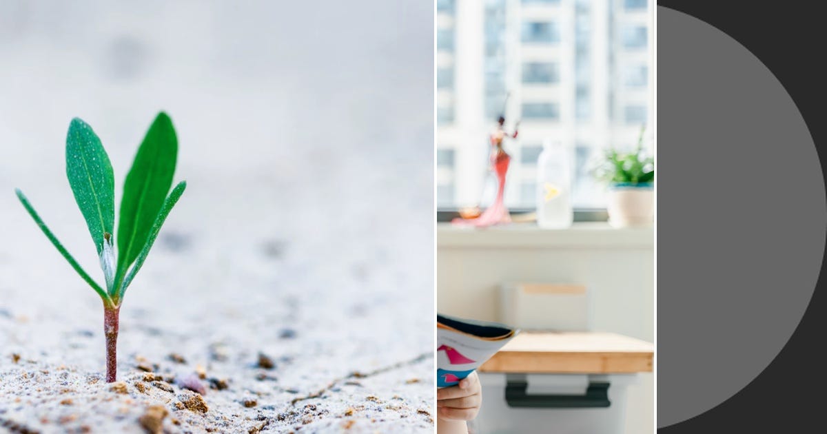 List: Watchlist | Curated by Emily Yang | Medium