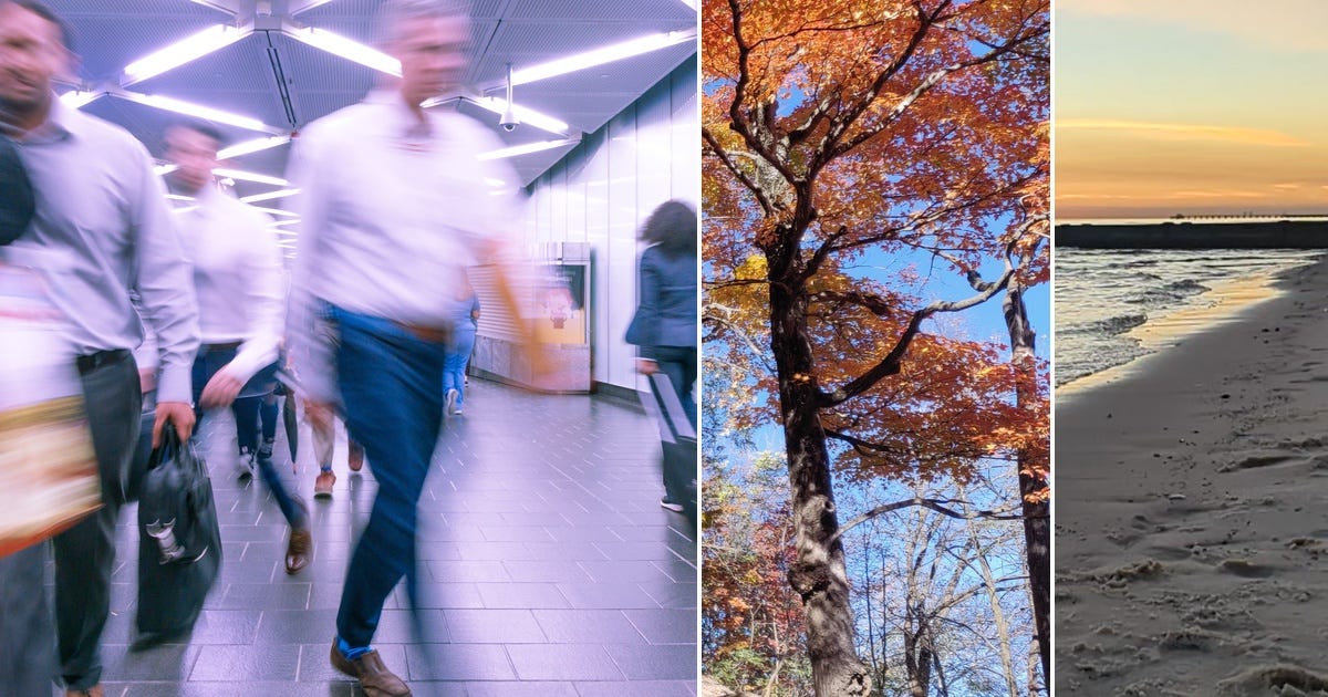 List: Poems | Curated by Nafees Mahbub | Medium