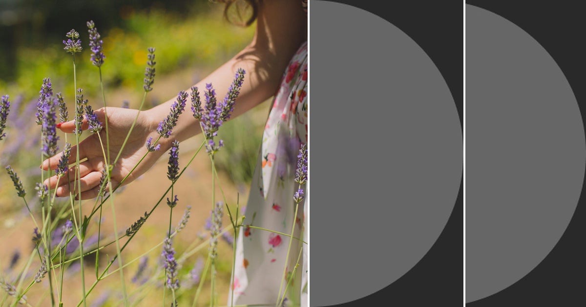 List: Megan | Curated by Nigel Vining | Medium