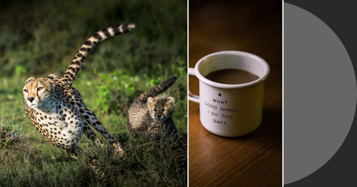 List: Todo | Curated by Carlos | Medium