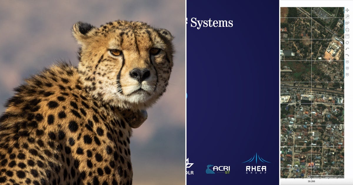 List: SEDA2 | Curated by ROBERTO GOMEZ ESPINOSA MARTIN | Medium