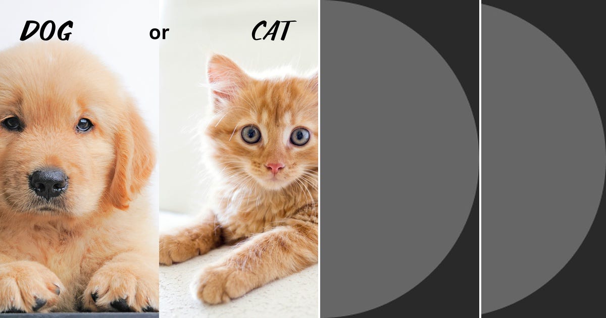 List: Dogs and cats | Curated by Peter Dinter | Medium