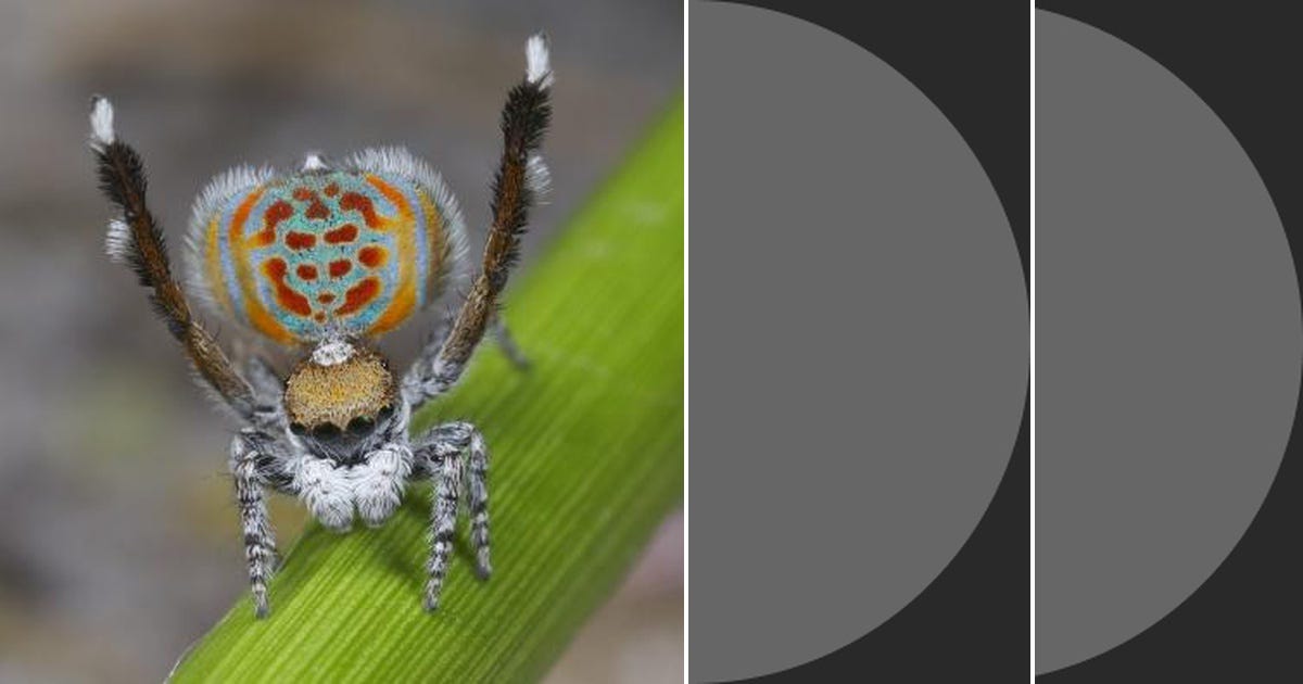 List: Opencv | Curated by Maurice Passmore | Medium