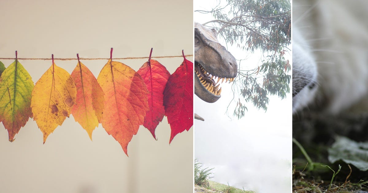 List: Memoir Poetry | Curated by John Newmark | Medium