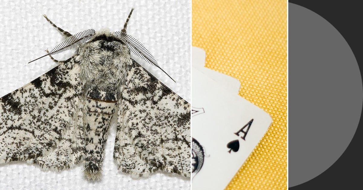 List: Evolvable APIs | Curated by Daniel Vianna | Medium