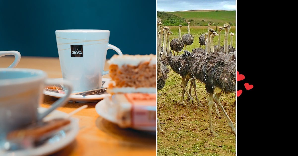 List: Golang | Curated by SungJin | Medium