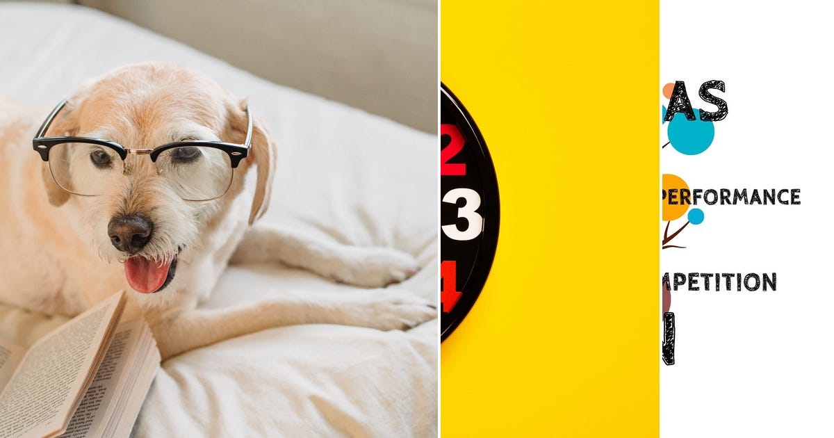 List: Data Presentation | Curated by Sherry Xu | Medium