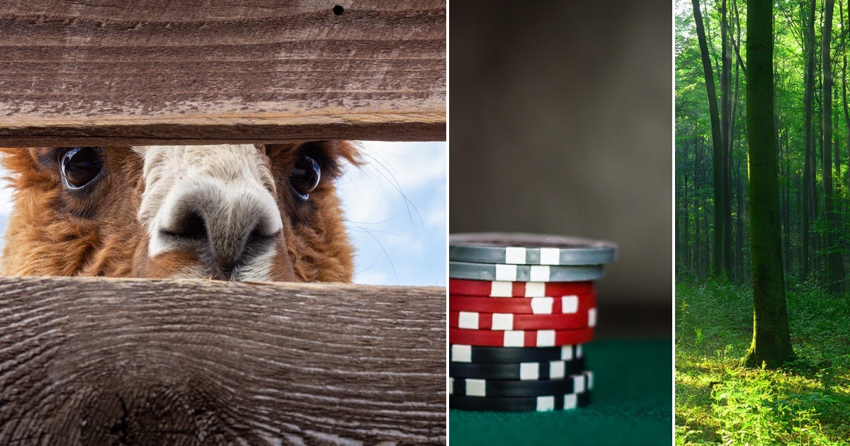 List: MCMC | Curated by Jun Masui | Medium