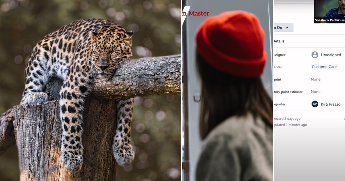 List: Scrum Misc | Curated by Fabien CHARLES | Medium