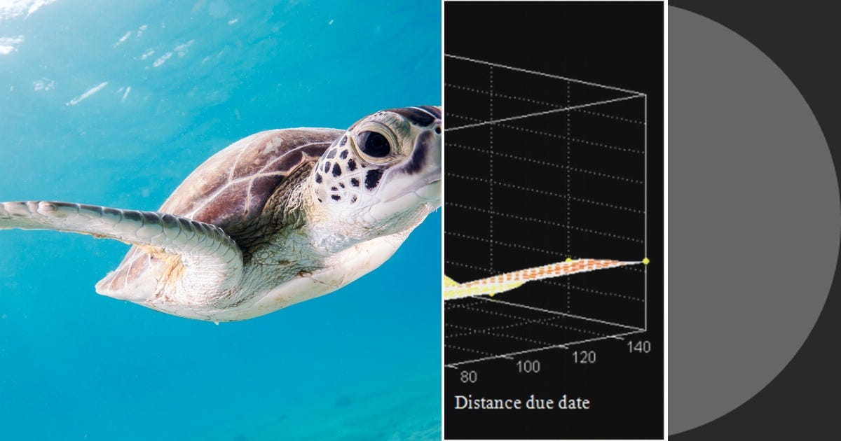 List: Quant | Curated by Elias Tazartes | Medium