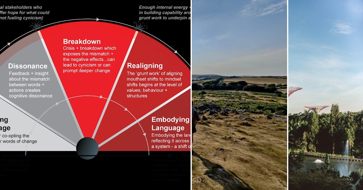 List: Relational Design | Curated by Eloise Smith-Foster | Medium