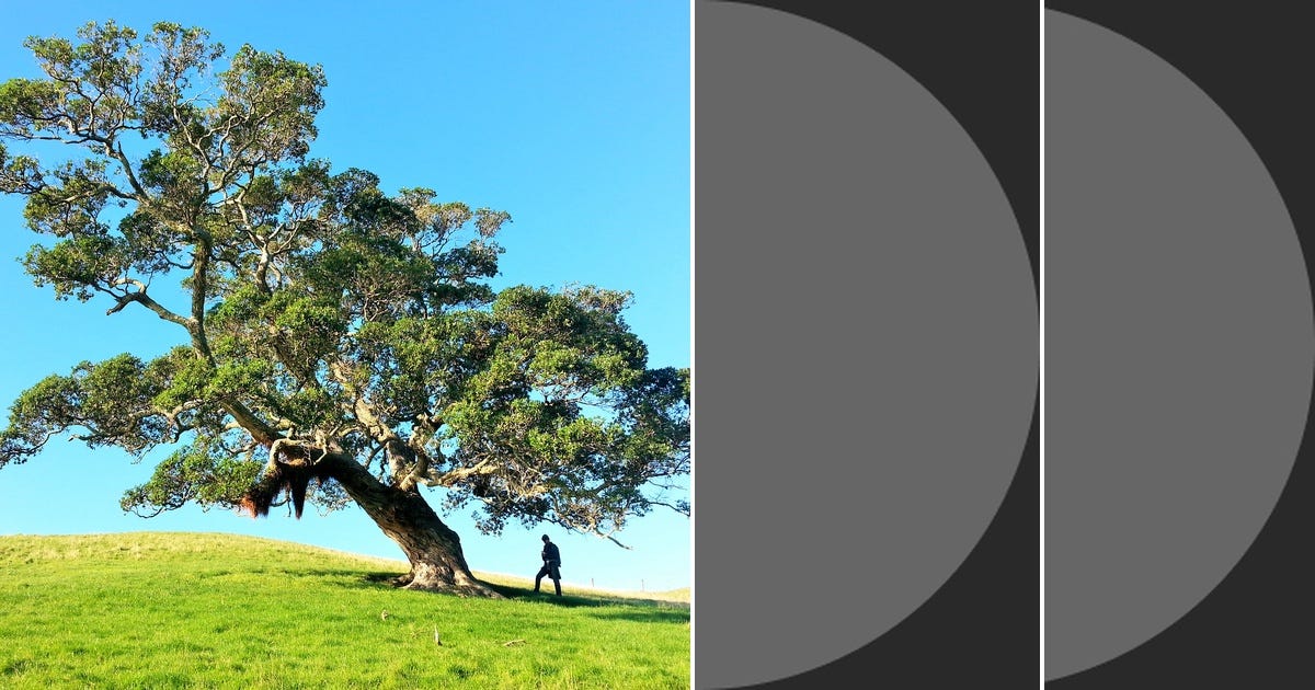 List: React render Process | Curated by Jpolivierr | Medium