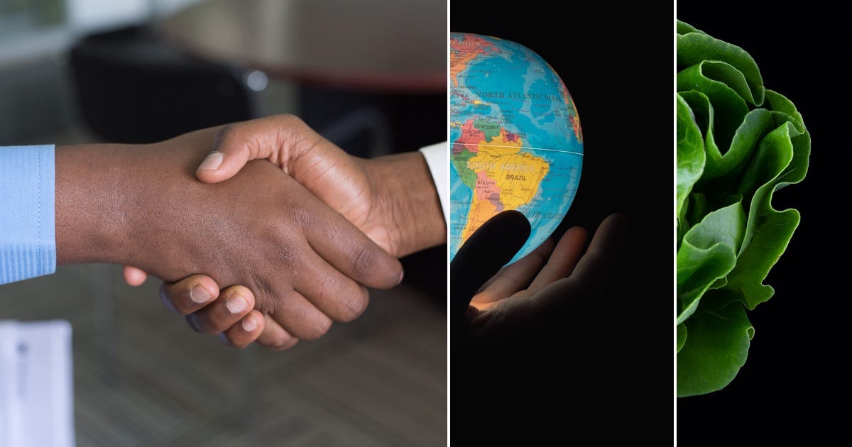 List: Machine Learning in non-Euclidean space | Curated by Mastafa ...