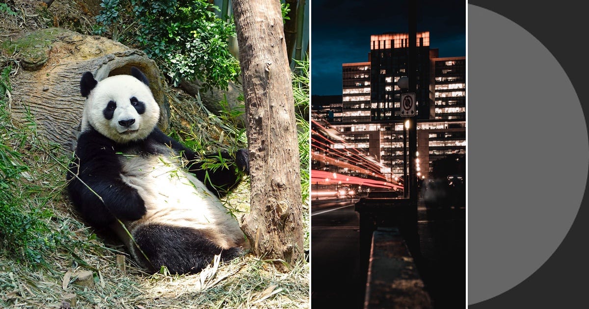 List: Python | Curated by daniel | Medium