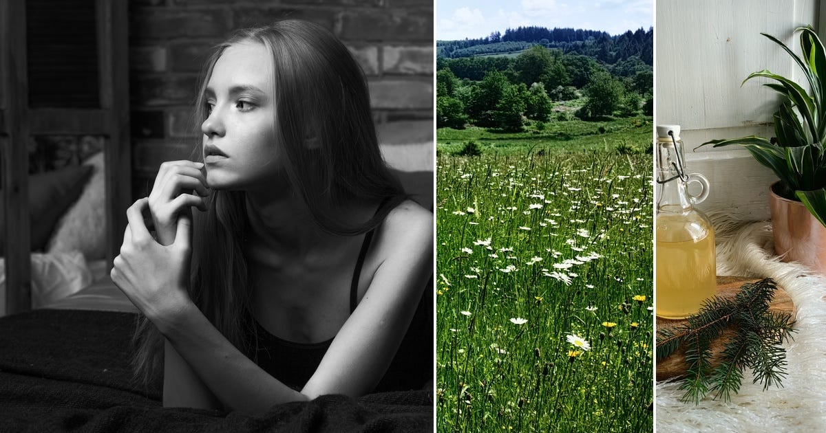 List: The Tree Diaries | Curated by Imola Tóth | Medium