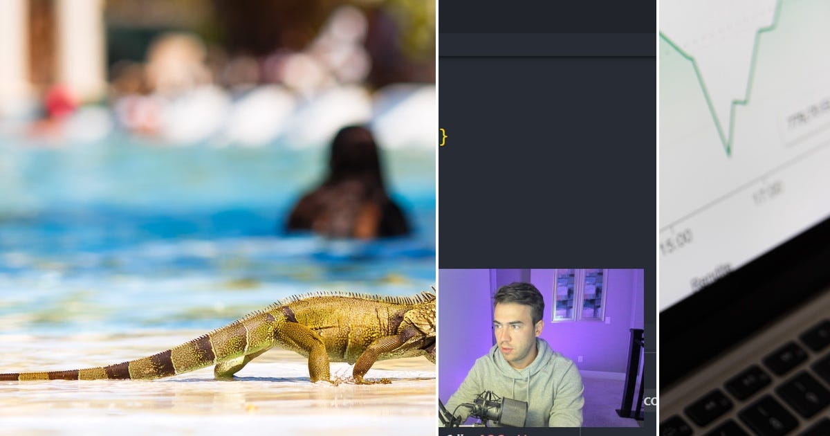 List: Python | Curated by Everton Colling | Medium