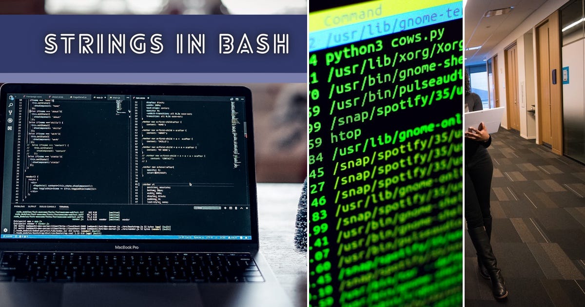 List: Shell | Curated by Vincent | Medium