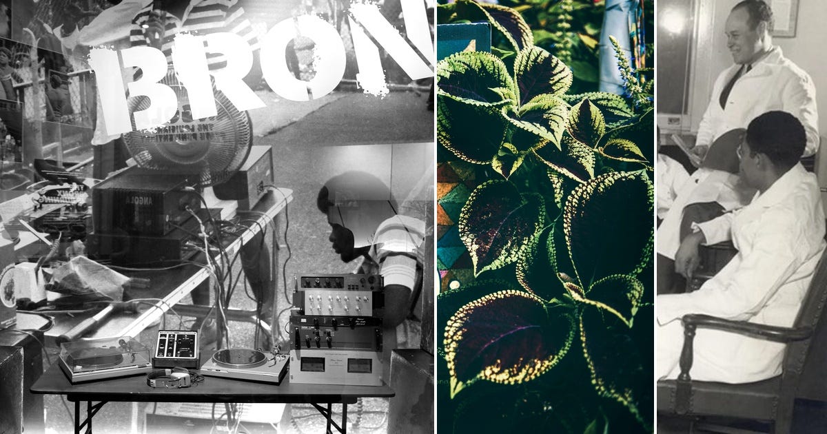 List: Cultivating Change | Curated by Dr. D. Bernard | Medium