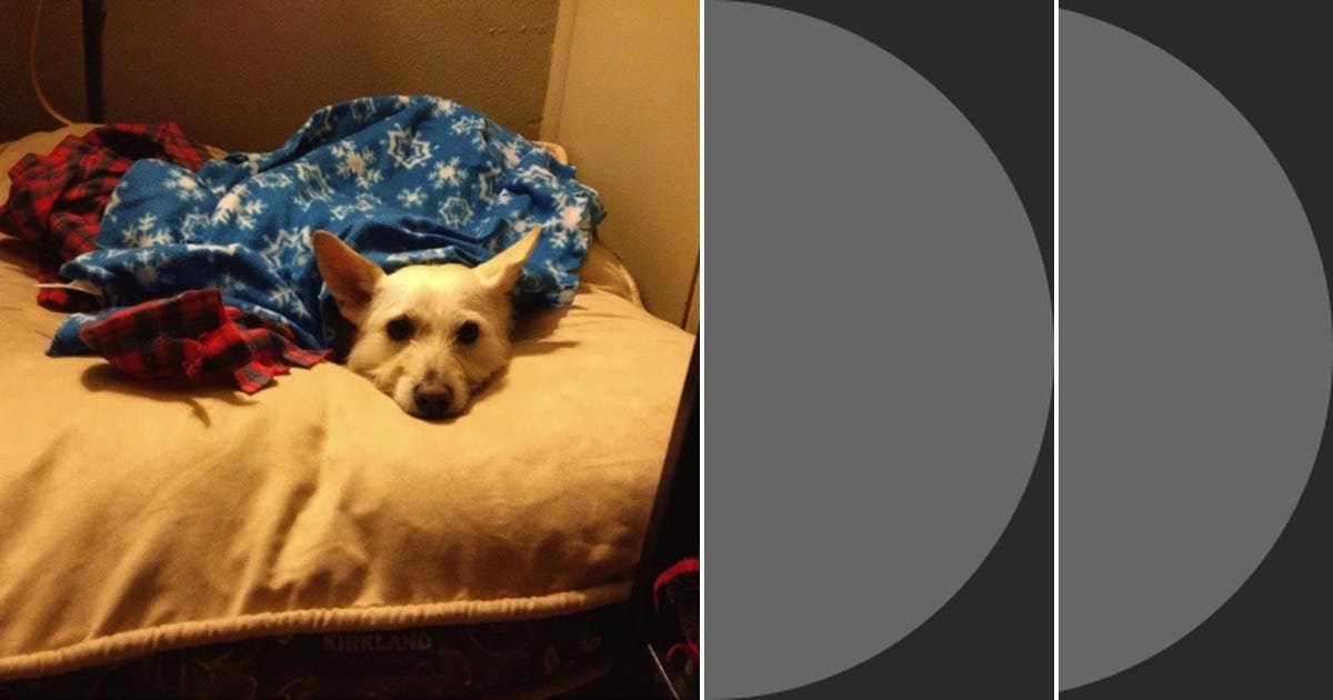 List: Prod mon | Curated by Aman Singh | Medium