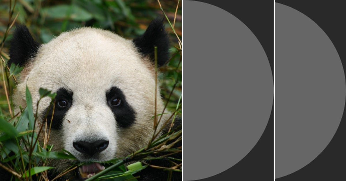 List: Python | Curated by Khersameesh | Medium