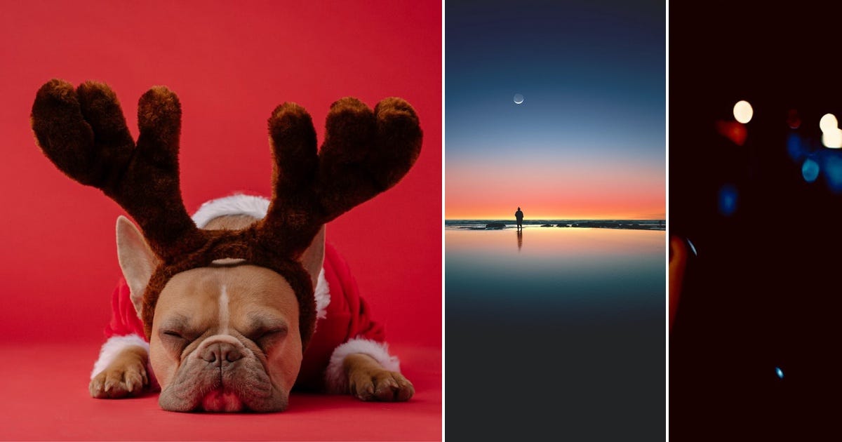 List: Dear Darling Diary | Curated by OPULENT HAUS | Medium