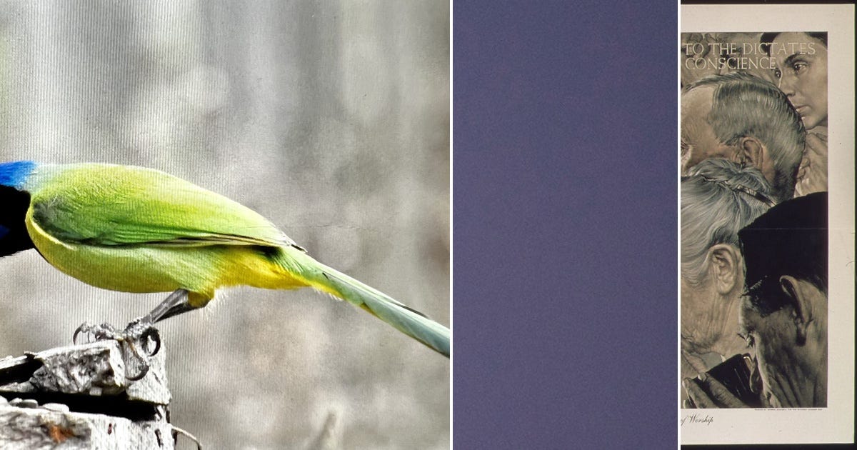 List: Interfaith | Curated by Lisa Spray | Medium