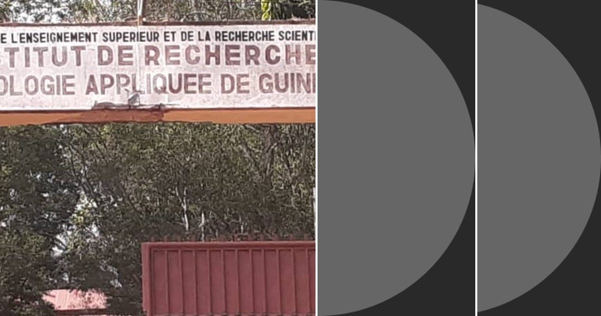 List: Russia’s Microbiological Research in Africa | Curated by Anthony ...