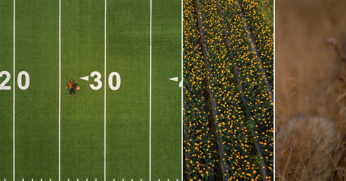 List: Python learning | Curated by DY Kim | Medium