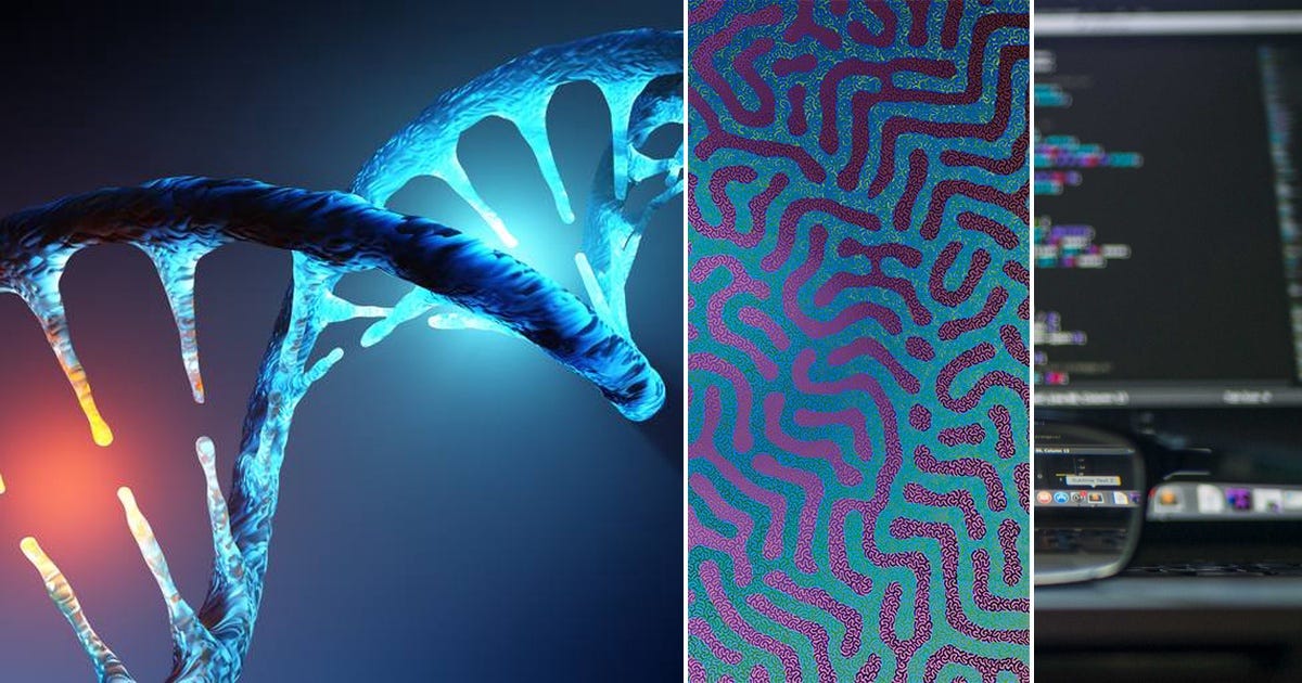 List: GRN | Curated by Ellen Terry | Medium