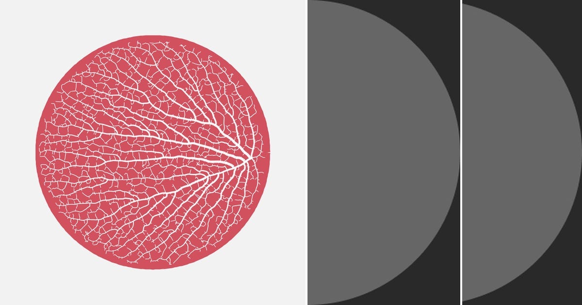 List: 生长与形式 | Curated by Yajun Liu | Medium