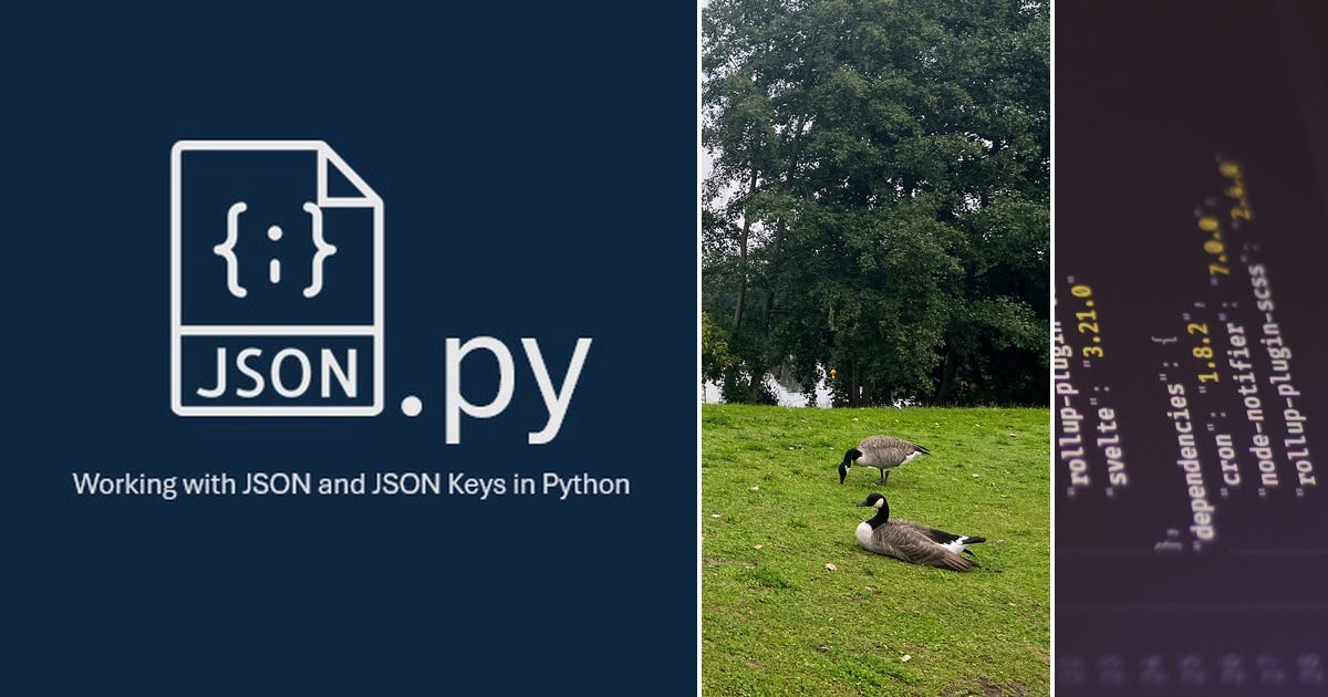 List: Json | Curated by Nick van Rodijnen | Medium