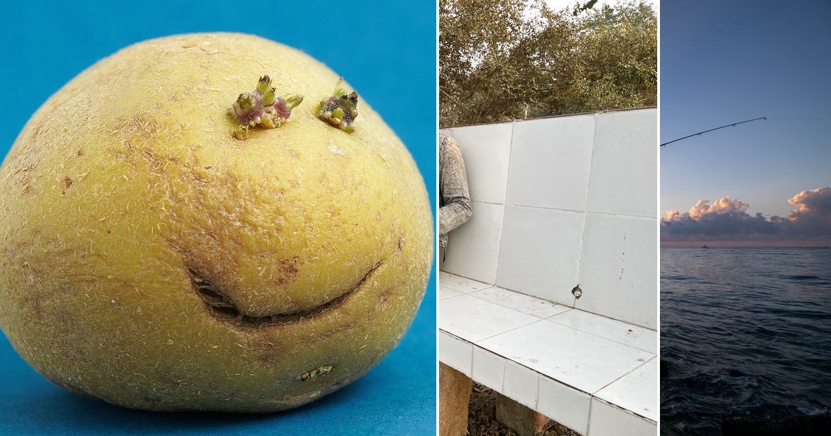 List: Word Art | Curated by @upliftic | Medium