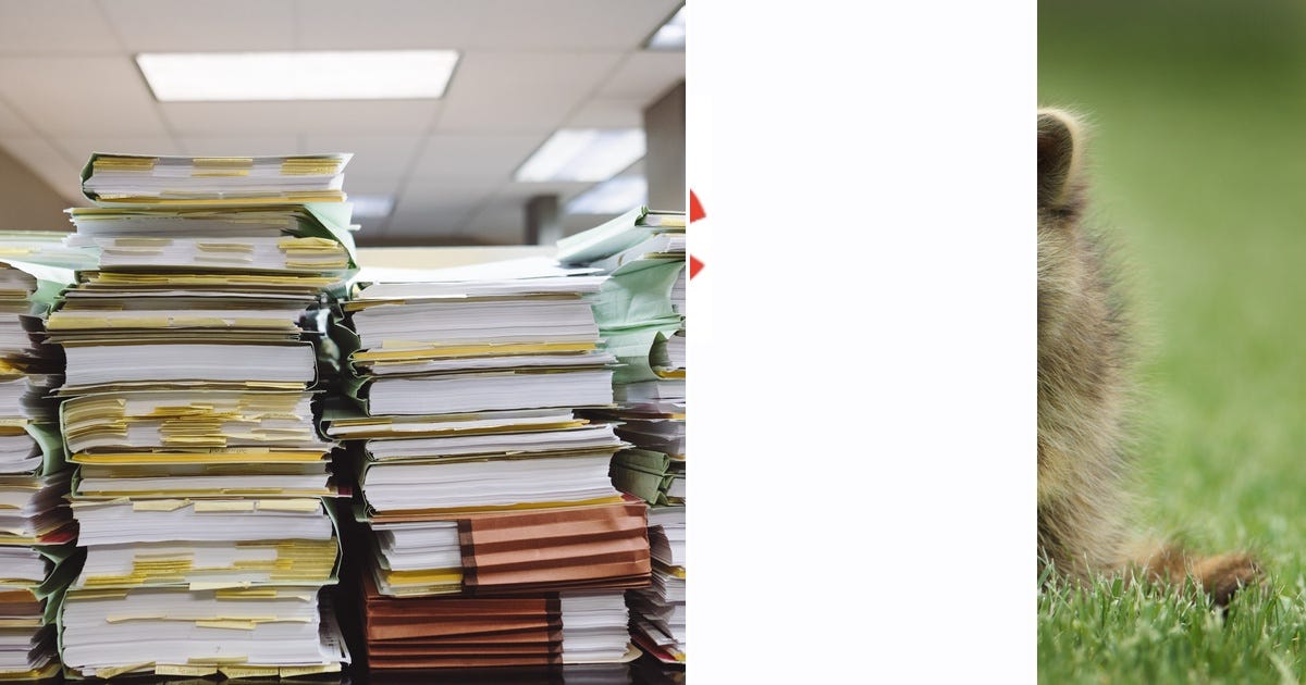 List: NLP: LLM | Curated by JS | Medium