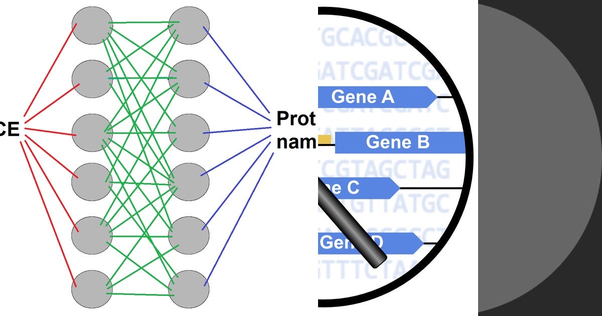 List: DNA | Curated by Sambit Sekhar | Medium