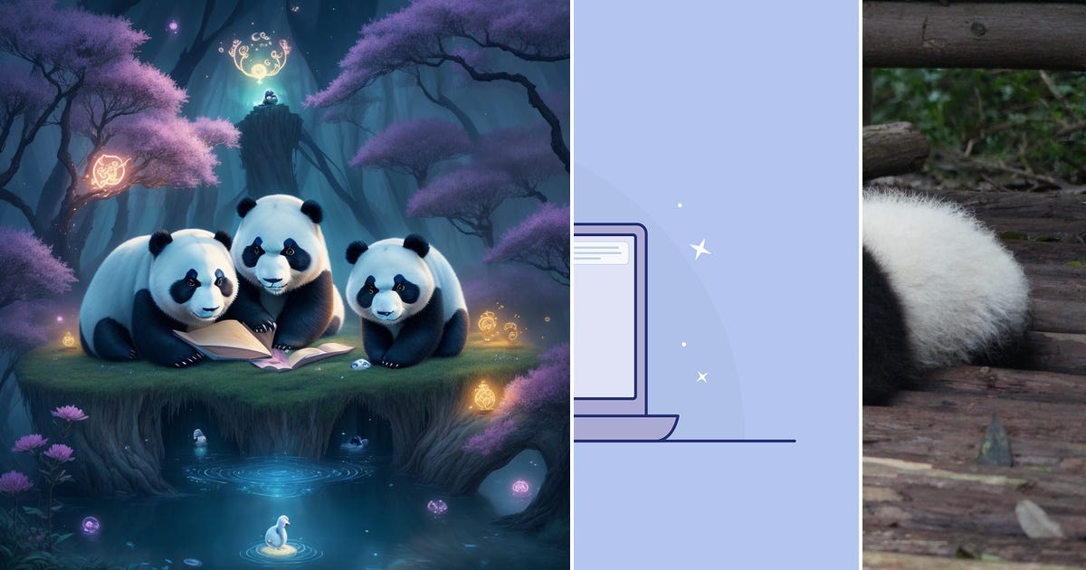 List: pandas | Curated by Byeong Cheol Lee | Medium