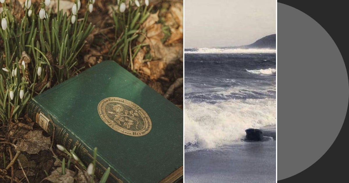 List: Reading list | Curated by Ressuaribunga | Medium