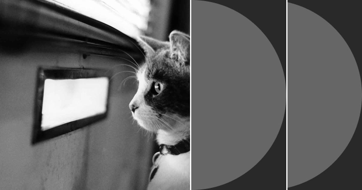 List: JS | Curated by Jaime | Medium