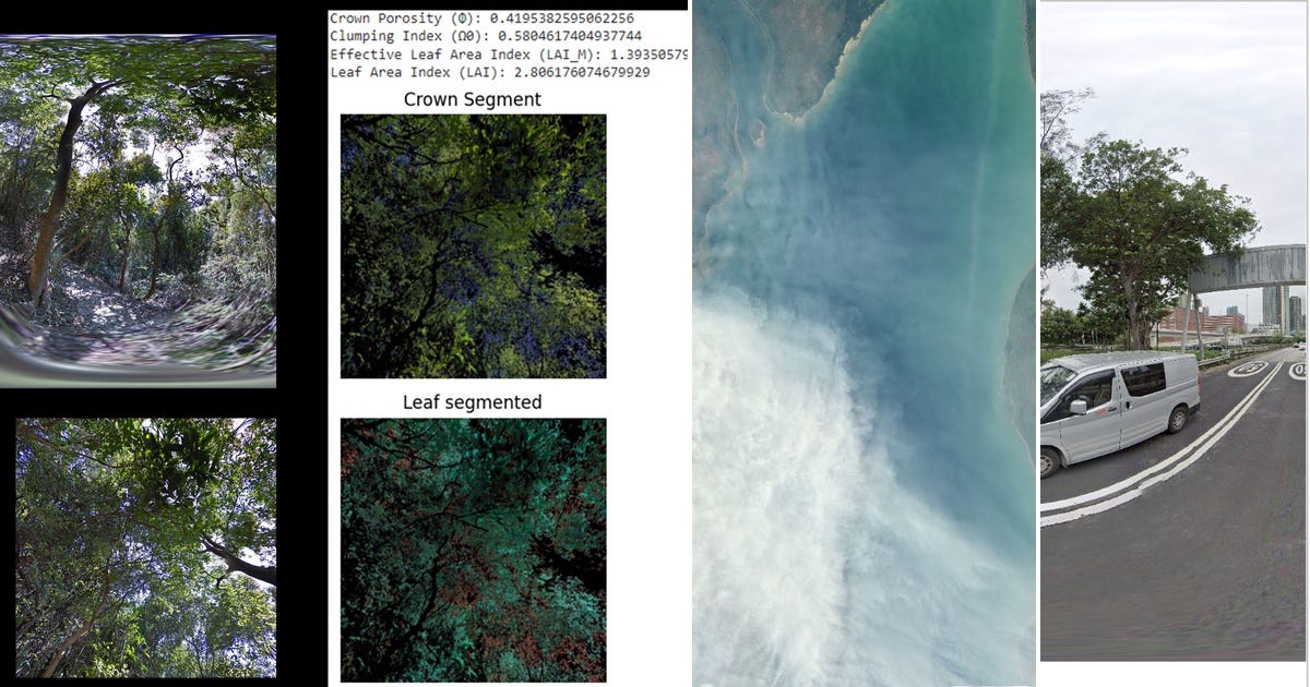 List: Forestry with RS and AI | Curated by Valer Avramenko | Medium